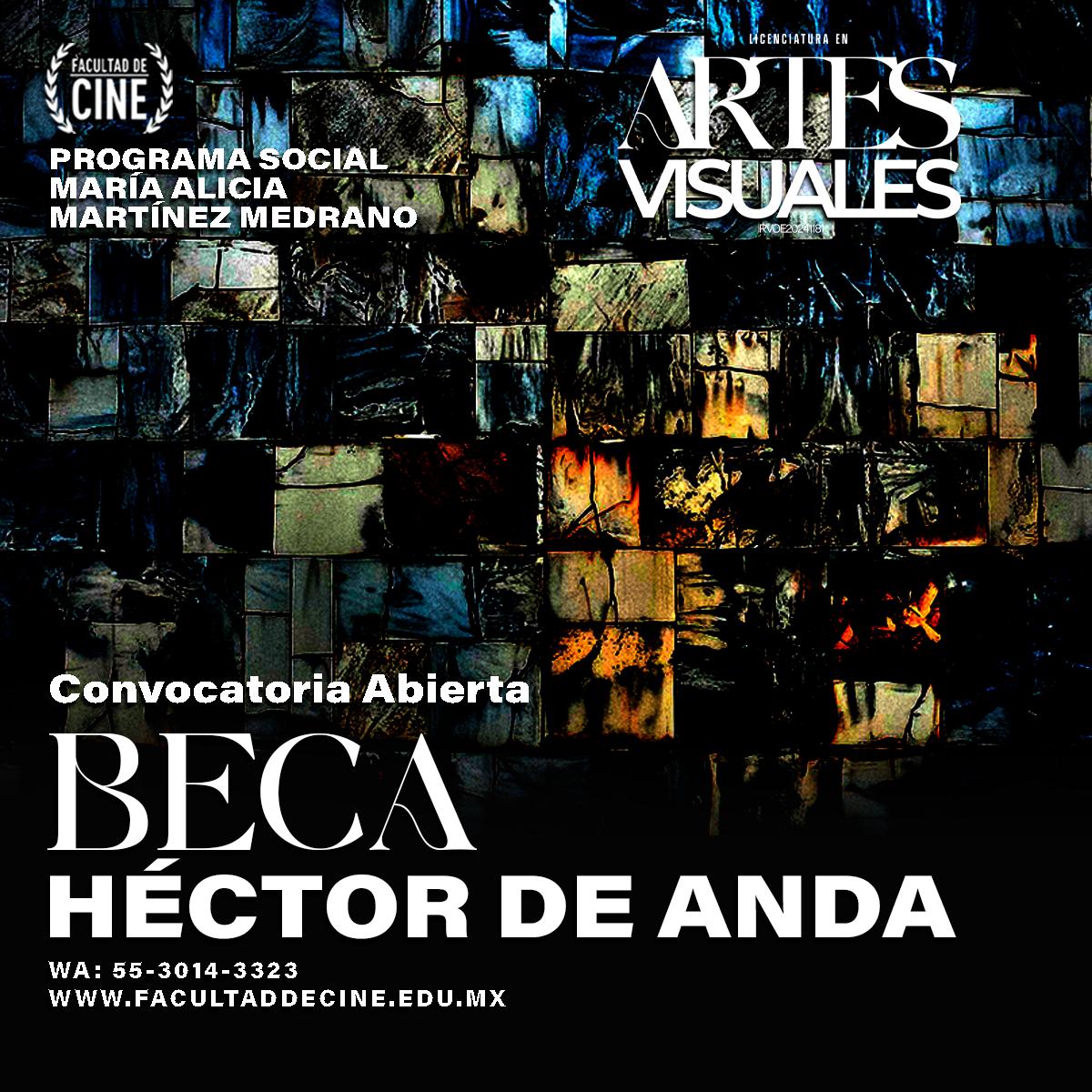 Beca Estudios de Artes Visuales “HÉCTOR DE ANDA” - Facultad de Cine
